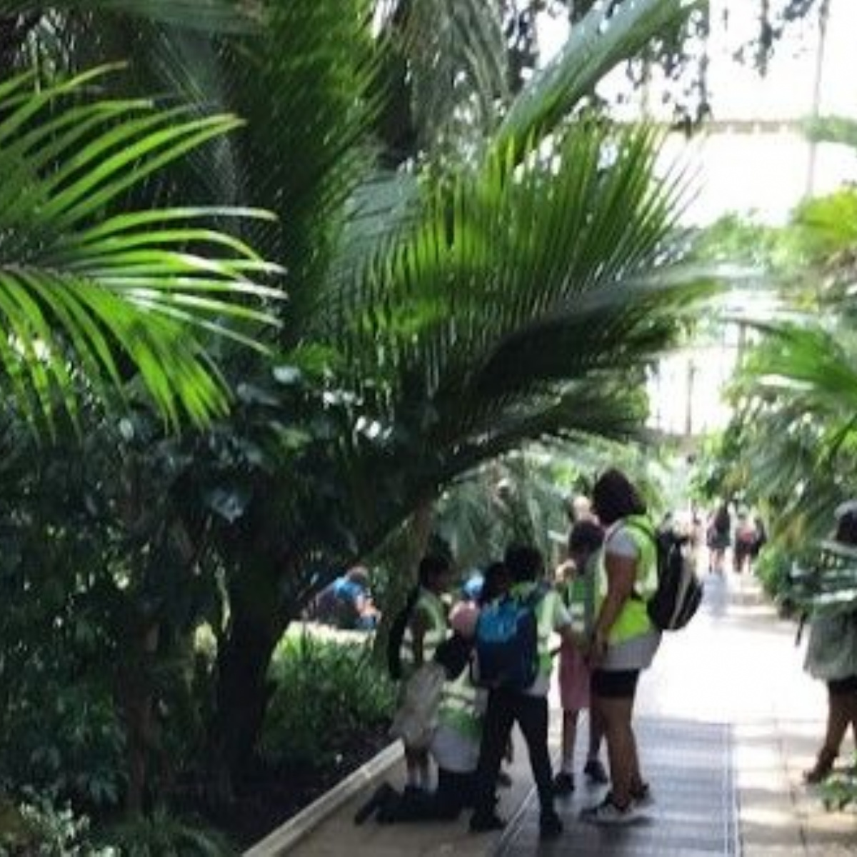 Marner Primary School - Kew Gardens
